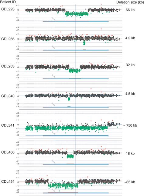 Array Comparative Genomic Hybridization Acgh Results Displaying The