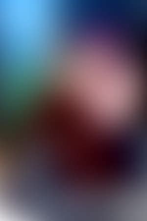 Mesudachi The Animation Tv Series The Movie Database Tmdb