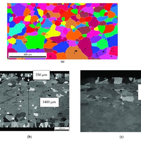 A EBSD Grain Structure Map Of The Profile B Grain Structure Of The Download Scientific
