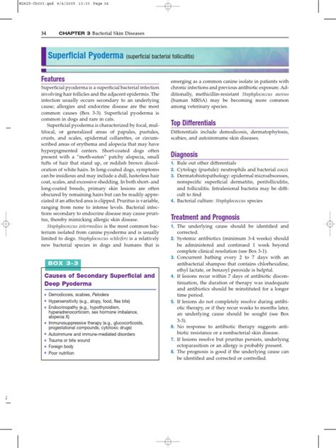 Superficial Pyoderma Features Pdf Cutaneous Conditions Dermatitis