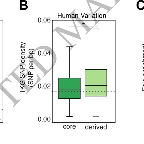 Complex Enhancers Consist Of Older Core And Younger Derived Sequences Download Scientific