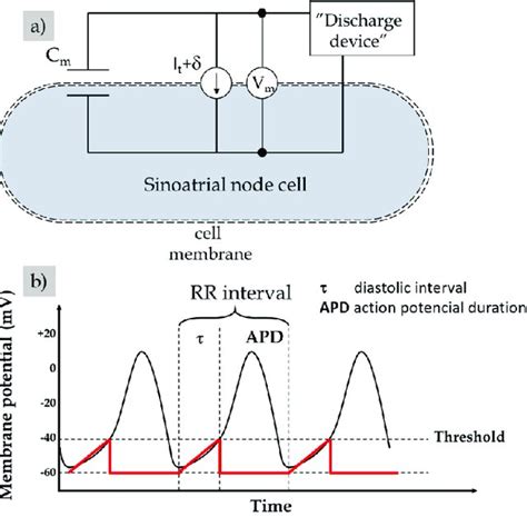 A Simple Stochastic Integrate And Fire Model Of Hr And Hrv A An Download Scientific Diagram
