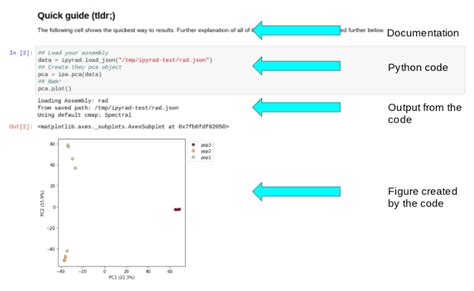 How To Launch Jupyter Notebook In Specific Path By Using