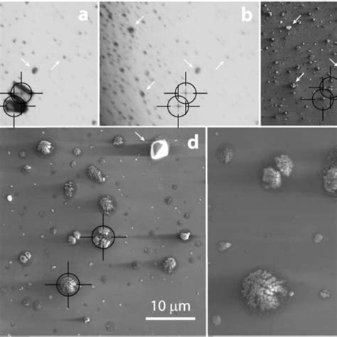 Multimodal Identification Of Ice Nucleating Particles Inps Using Download Scientific Diagram