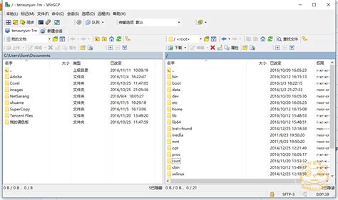 【新手建站系列】winscp 使用图形界面管理linux服务器的文件 分享喵