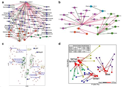 Network Analyses Of Microbiome And Host Metabolic Phenotype Download Scientific Diagram