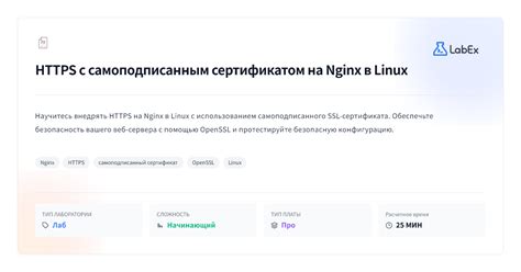 с самоподписанным сертификатом на Nginx в Linux Labex