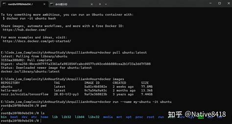 一小时实践入门 Docker 知乎