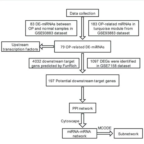 workflow of research routine to construct the mirna mrna regulatory