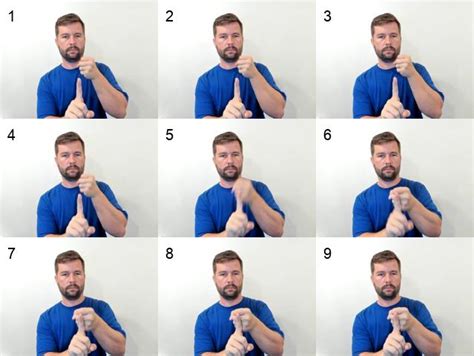 Hit Asl Dictionary