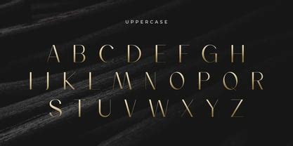 Jamel Font Webfont Desktop MyFonts