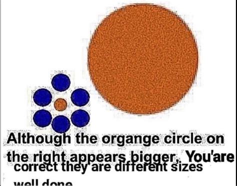These Circles Are Different Sizes R Notinteresting