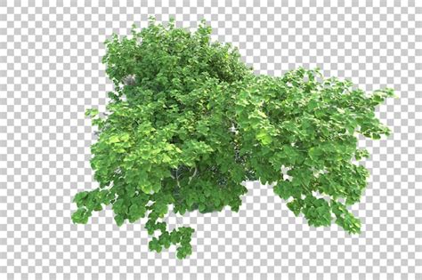 Premium PSD Green Landscape Isolated On Transparent Background D Rendering Illustration