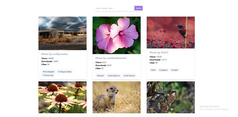 github anelembabela photo gallery reactjs and tailwind building photo gallery using unsplash