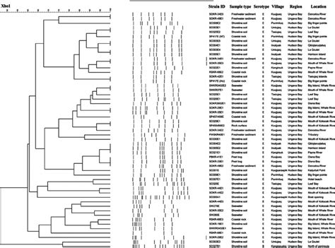 Dendrogram Showing The Relationship Between 53 C Botulinum Type E