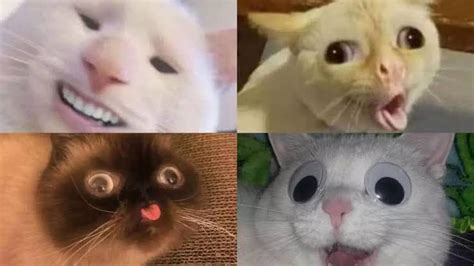 ไม่หิวไหวหรอ Bangkok