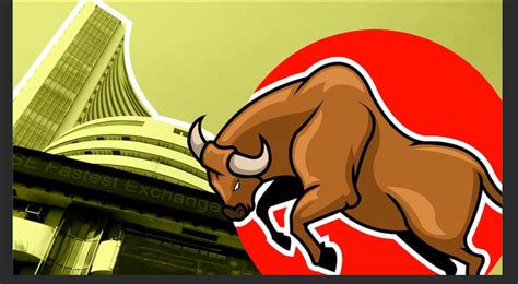 Is This The Next Multi Bagger