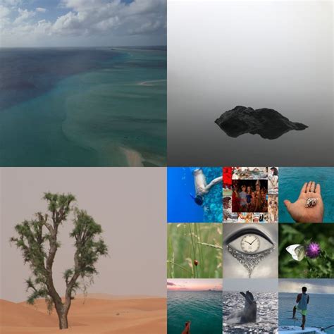 Jérôme Selva On Linkedin Thanksgiving Gratitude Sustainability