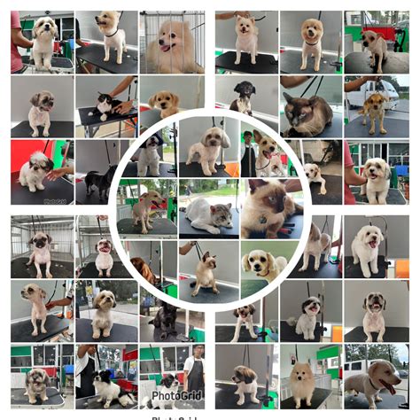 Batis Ng Sinipian Resort Added Batis Ng Sinipian Resort