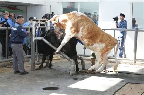 Малын үржүүлэг биотехнологийн ололтыг ашиглан тооноос чанарт шилжин бэлчээр нутгаа хамгаалах