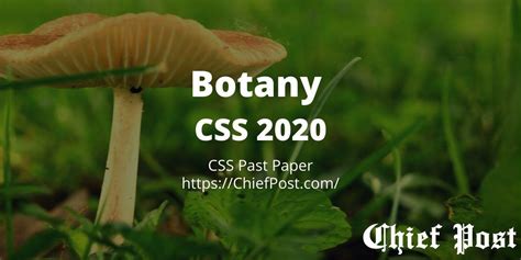 botany 2020 — css past paper chief post