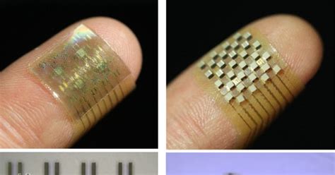 타인 촉각 멀리서 내가 느낀다국내 연구진 텔레햅틱 장치 개발