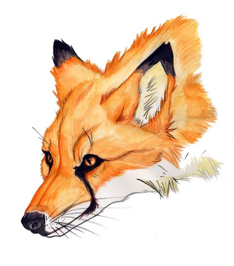 Лиса нарисованная картинки 74 фото