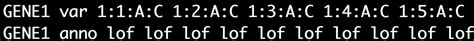 getting the right groupfiles to use for step 2 saige gwas gene and