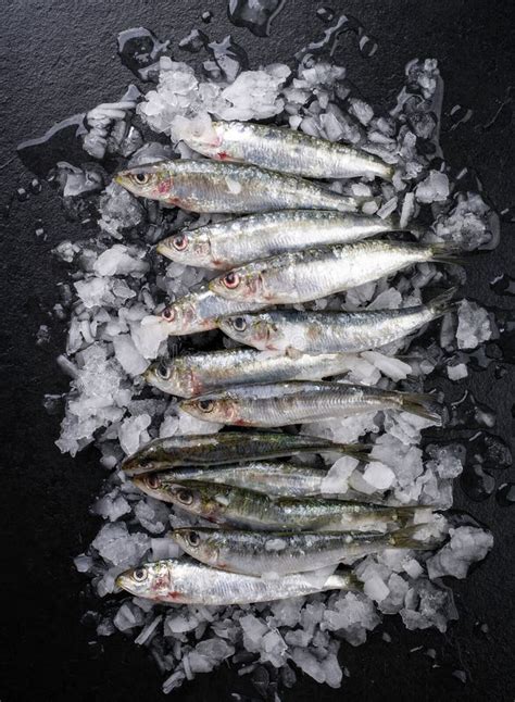Sardinha Crua Tradicional Sobre Gelo Numa Ardósia Negra Foto De Stock