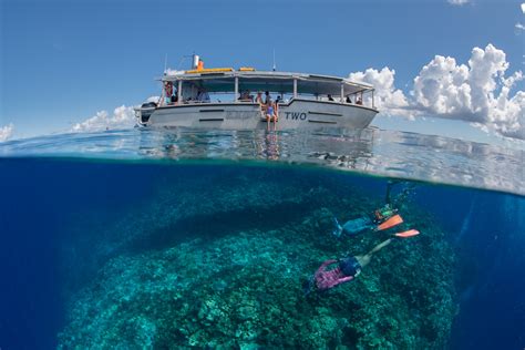 Great Barrier Reef Trips 60 Photos