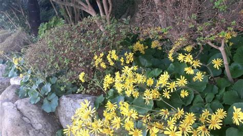 나 같은 죄인 살리신 네이버 블로그