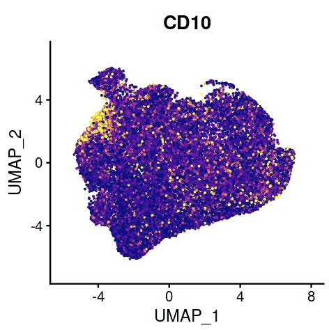 Can T Reconcile ADT Expression Plots Satijalab Seurat Discussion GitHub