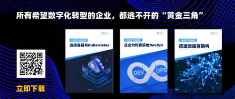 云计算 Ebook下载 《企业高管it战略指南——搭建微服务架构》个人文章 Segmentfault 思否