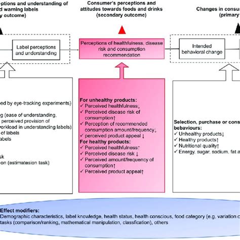 The Logic Model Of The Impact Of Colour Coded Labels And Warning Labels