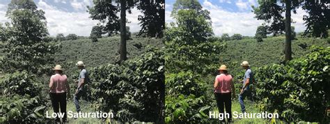 What Is Color Saturation In Photography Leawo Tutorial Center