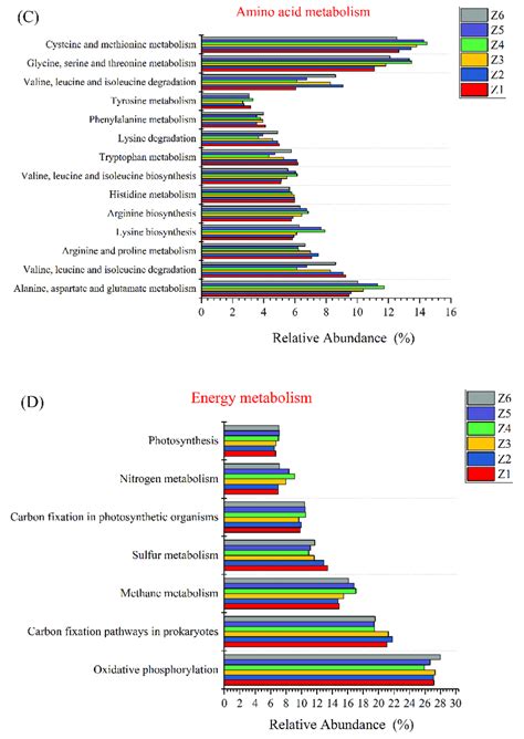 Variation In Bacterial Function Profiles Of Bsfl At The Level 2 A And Download Scientific