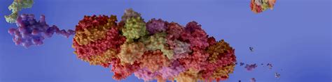 the power of dna mutant libraries accelerating revolution in research