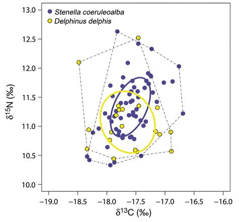 Standard Ellipse Area Corrected Sea C Solid Lines And Convex Hull Download Scientific