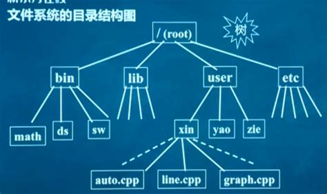 【数据结构0】第一章 概论、数据的逻辑结构、存储结构（顺序存储、链式存储）、操作、时间复杂度、空间复杂度数据的逻辑结构分为顺序结构和链式结构