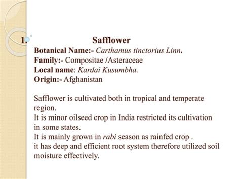 Safflowerpptx Details Cultivation Practices Of Safflower Pptx