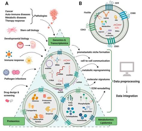Exosome Technology Creative Biostructure