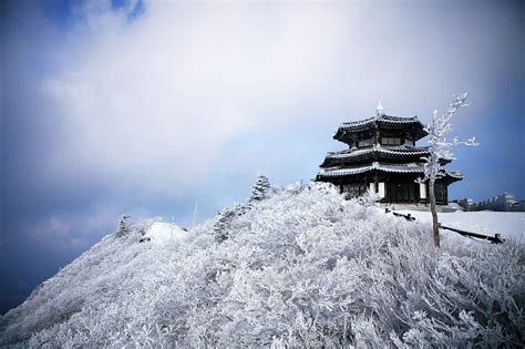 겨울 눈 자연 Pixabay의 무료 사진