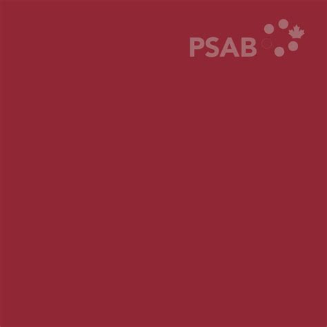 Psab Publicsectoraccountingdiscussiongroup Psab Psadg Public Sector Accounting Board Psab