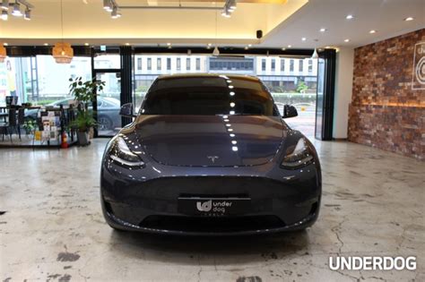 김해썬팅 테슬라 모델y 신차썬팅 레이노 팬텀 S9 언더독 김해점 네이버 블로그