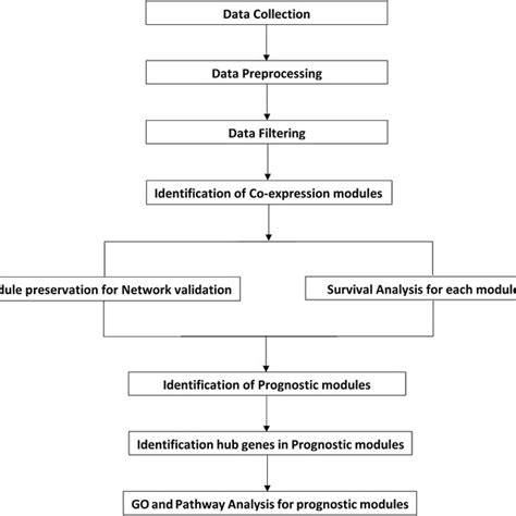 Flow Chart Of Sequential Steps For Data Preprocessing And Analysis Download Scientific Diagram