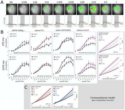 Concentration Signal Function A Glomerular Activity Patterns Elicited