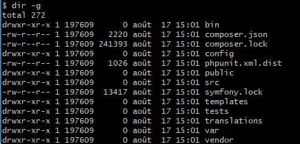 X Symfony Could Not Open Input File Bin Console Symfony PHP