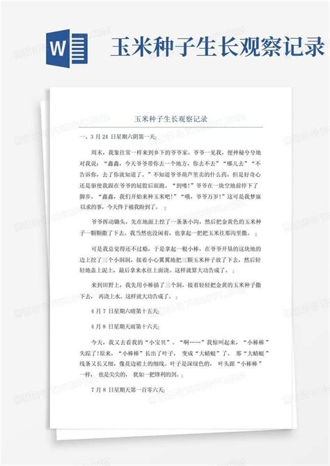 玉米种子生长观察记录word模板下载 编号qyvxxgmd 熊猫办公