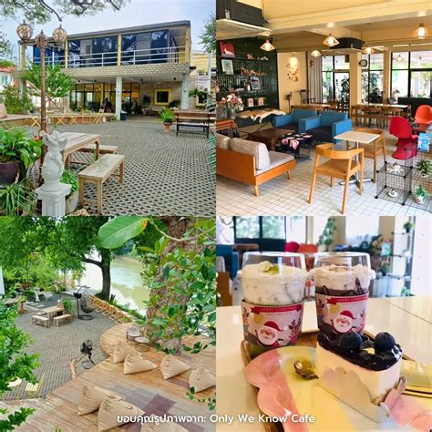 พิกัด 10 คาเฟ่สระบุรี เปิดใหม่ 2025 ถ่ายรูปสวย สไตล์ธรรมชาติ