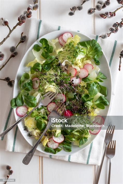 신선한 브로콜리와 양배추와 케 일 마이크로 그린을 곁들인 봄 샐러드 어린양 잎 상추에 대한 스톡 사진 및 기타 이미지 어린양 잎 상추 0명 건강한 생활방식 Istock